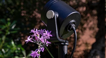 In-lite Outdoor Lighting | Maak Buiten Bijzonder
