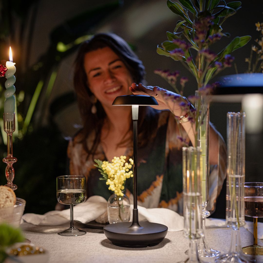 Human Dimming | in-lite